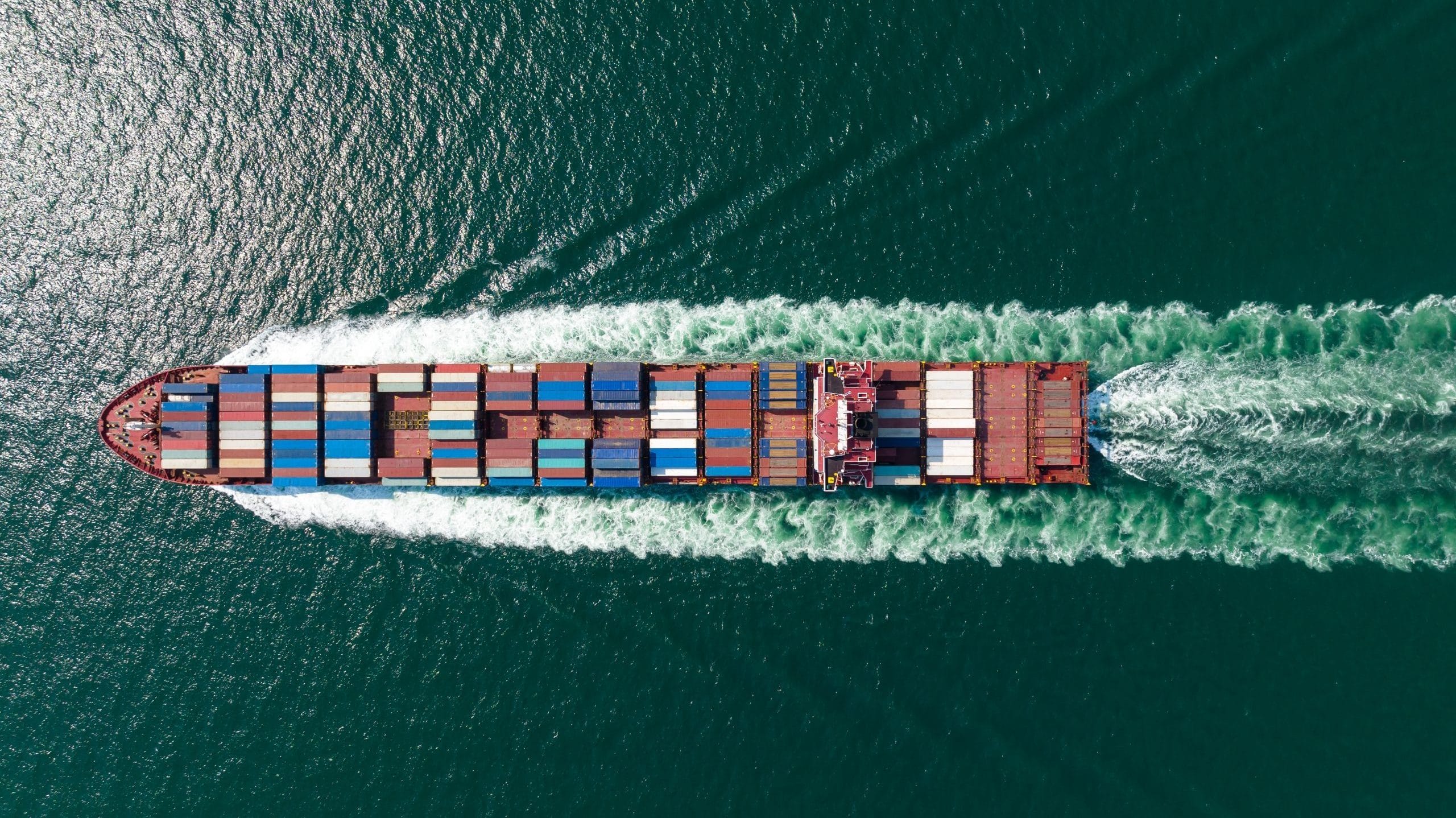 shutterstock_2338214365-e1732543216862.jpg?strip=all&lossy=1&sharp=1&w ...